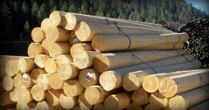 Lodgepole Pine Posts - Ontario Orchard Supply